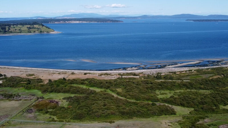 LAND BACK - Tsawout First Nation