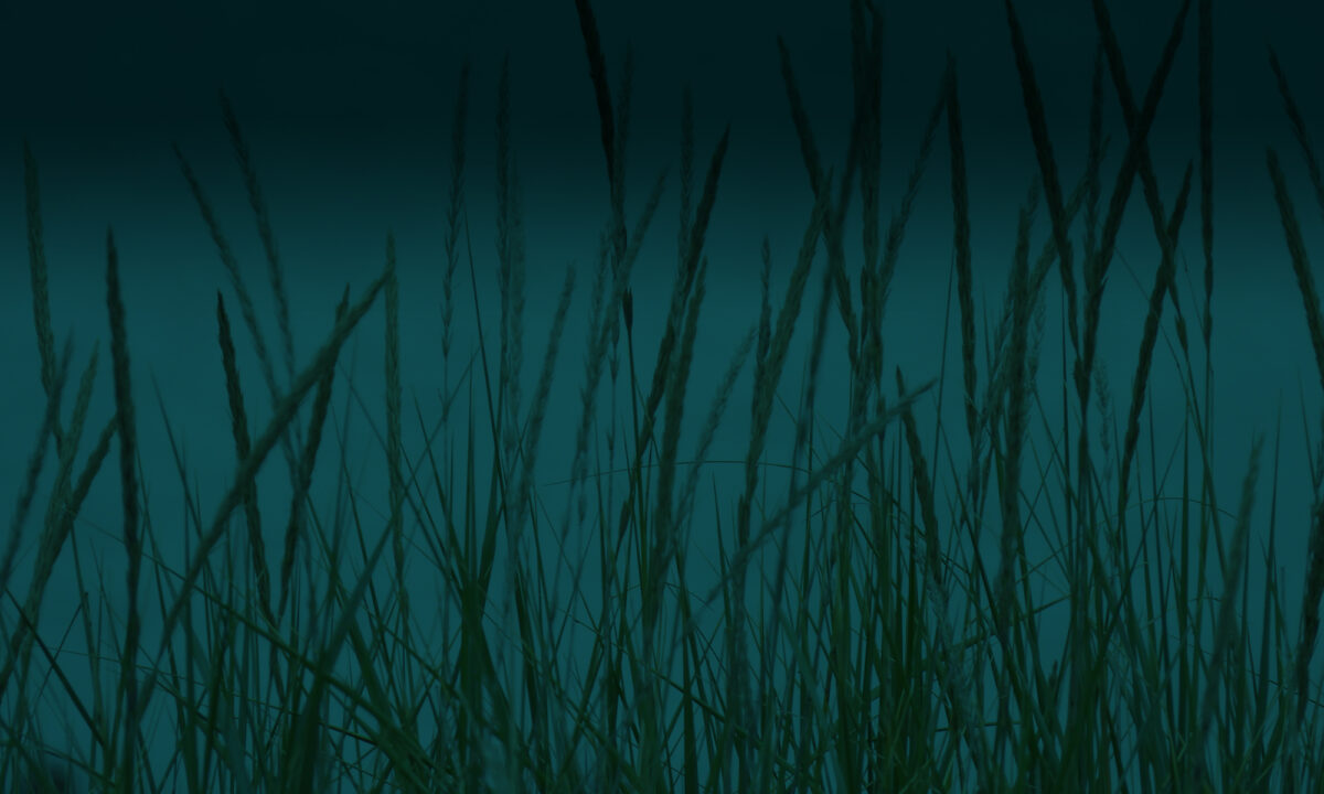 Home - Tsawout First Nation