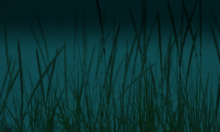 Home - Tsawout First Nation